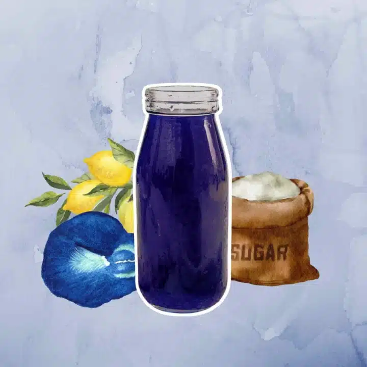 Butterfly Pea Simple Syrup Recipe