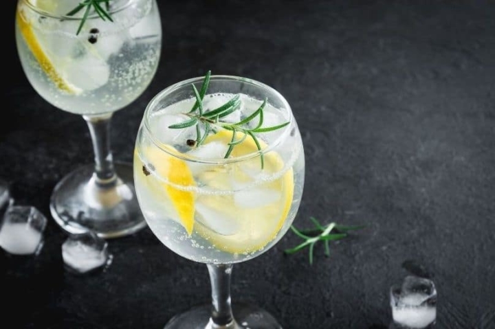 The Best Gin and Tonic Glass | Cocktail Society