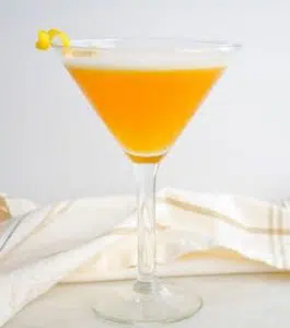 Different Types of Martinis - A list by Cocktail Society