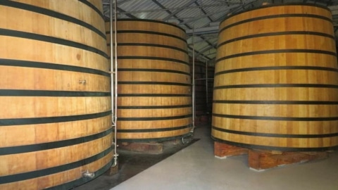 The Ultimate Guide to Rum - For Beginners & Experts | Cocktail Society