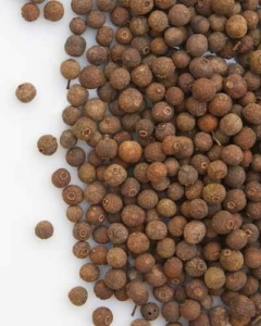 Gin Botanicals Explained - Everything You Need to Know